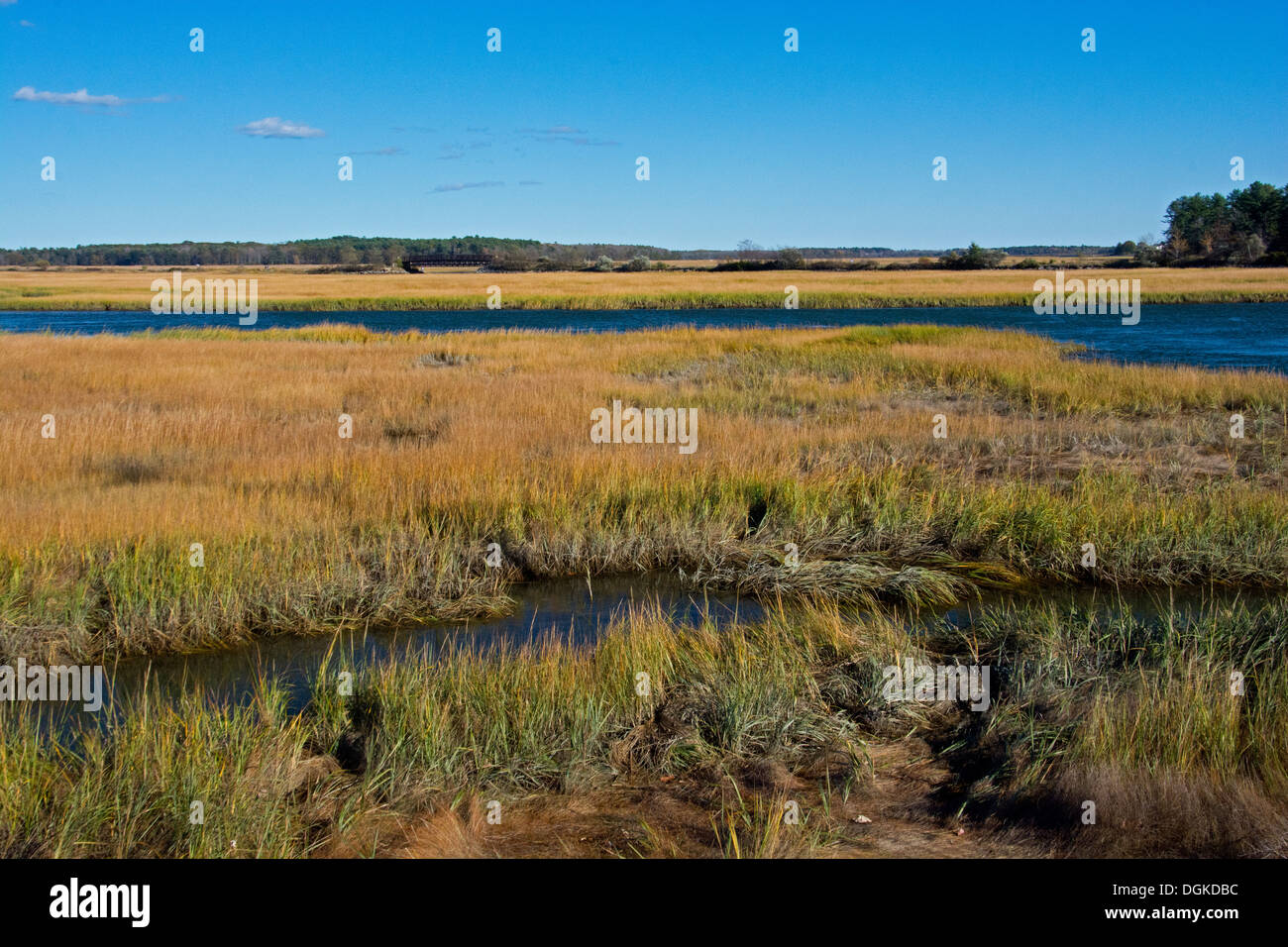 Maine marsh hi-res stock photography and images - Alamy
