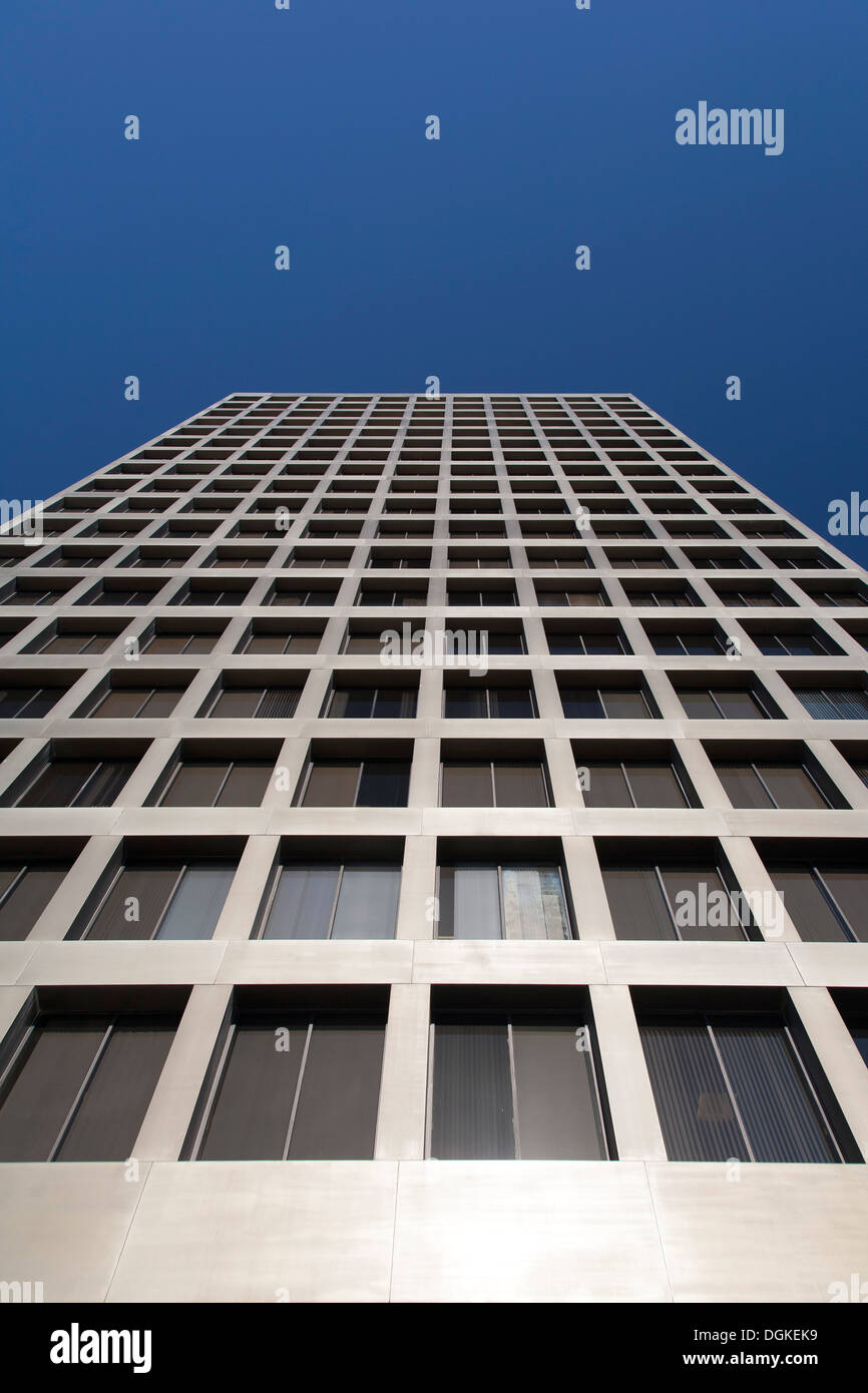 Building Facade Architectural Grids