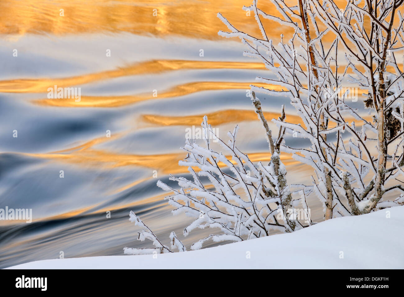 Open water of Wanapitei River with frosted trees in winter Wanup ...