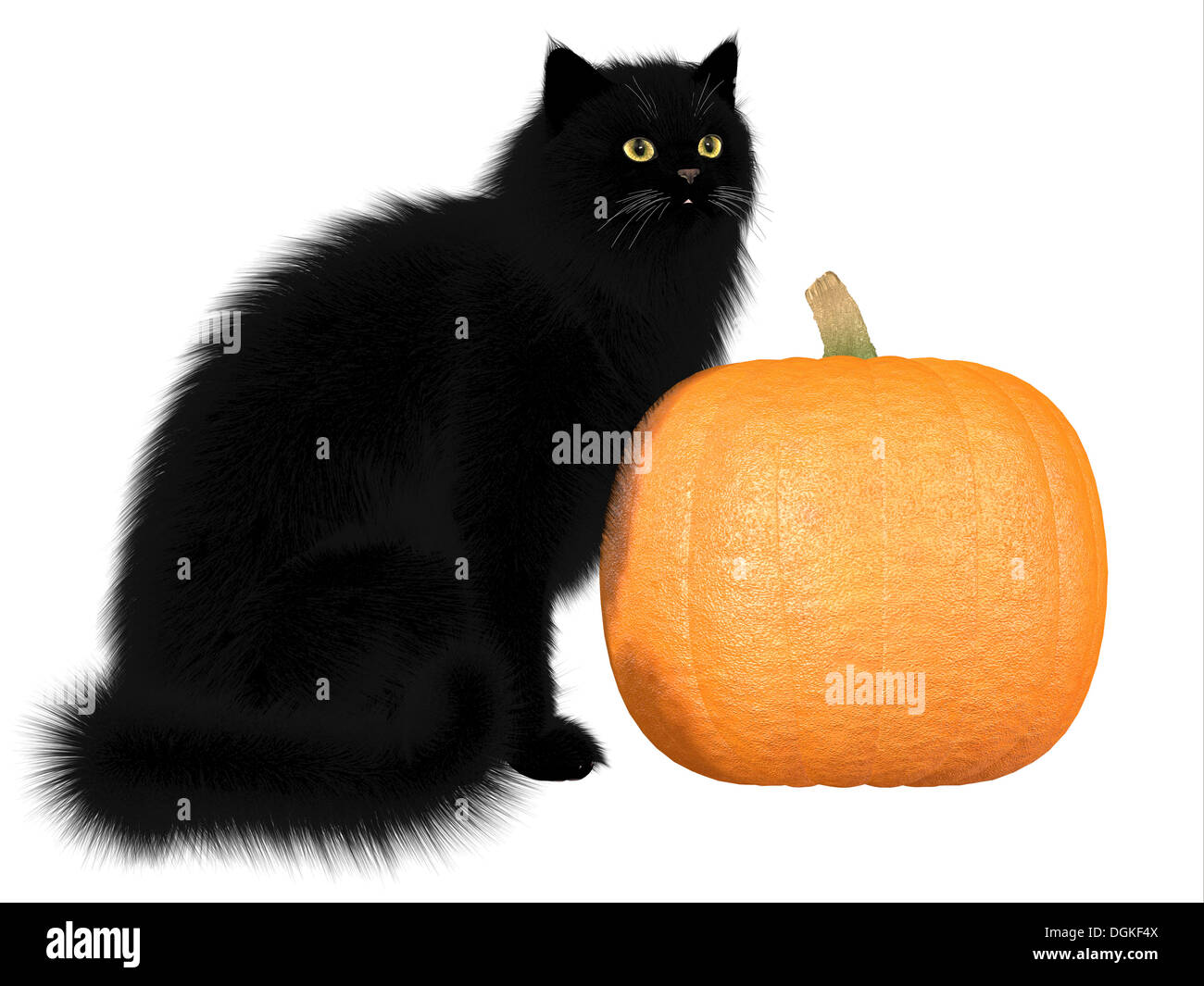 The black cat and pumpkins are a symbol of autumn seasonal Halloween ...