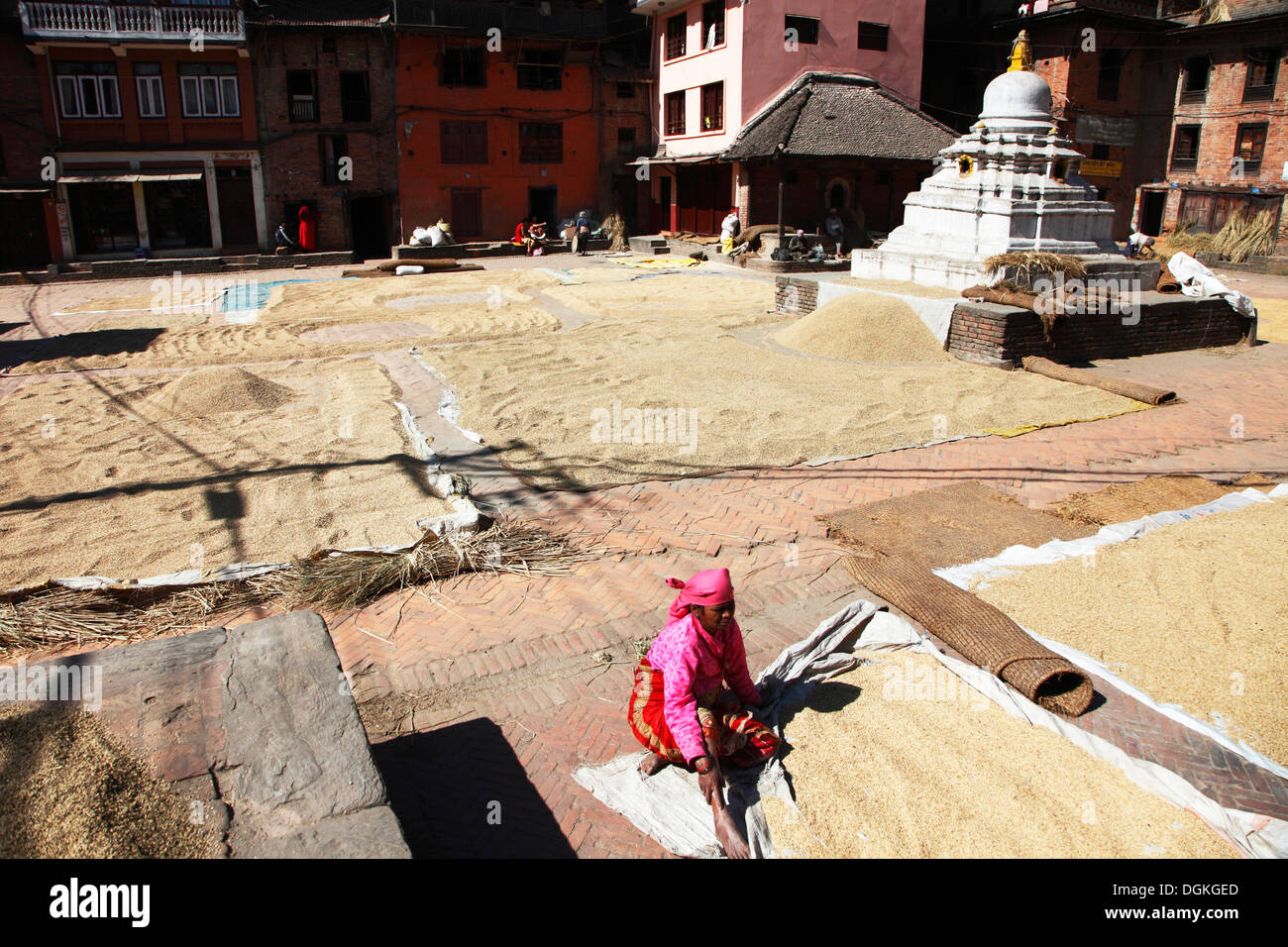 Sifting and sorting hi-res stock photography and images - Alamy