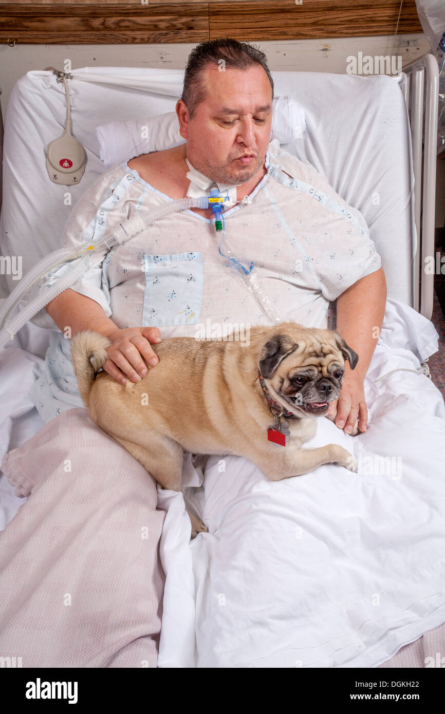 Tracheostomy tube dog hi-res stock photography and images - Alamy