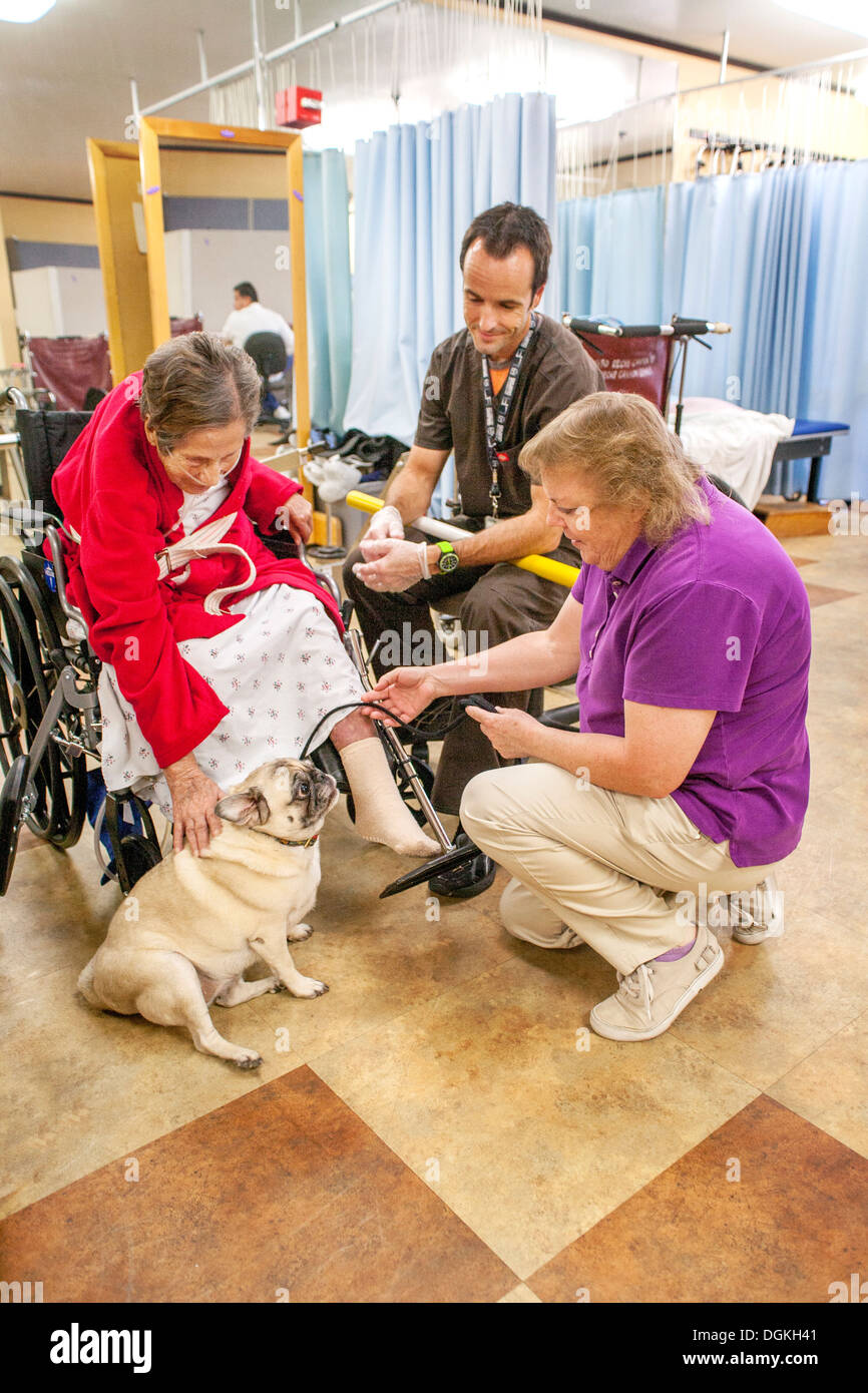 Elderly Hispanic wheelchair patient in the physical therapy room of ...
