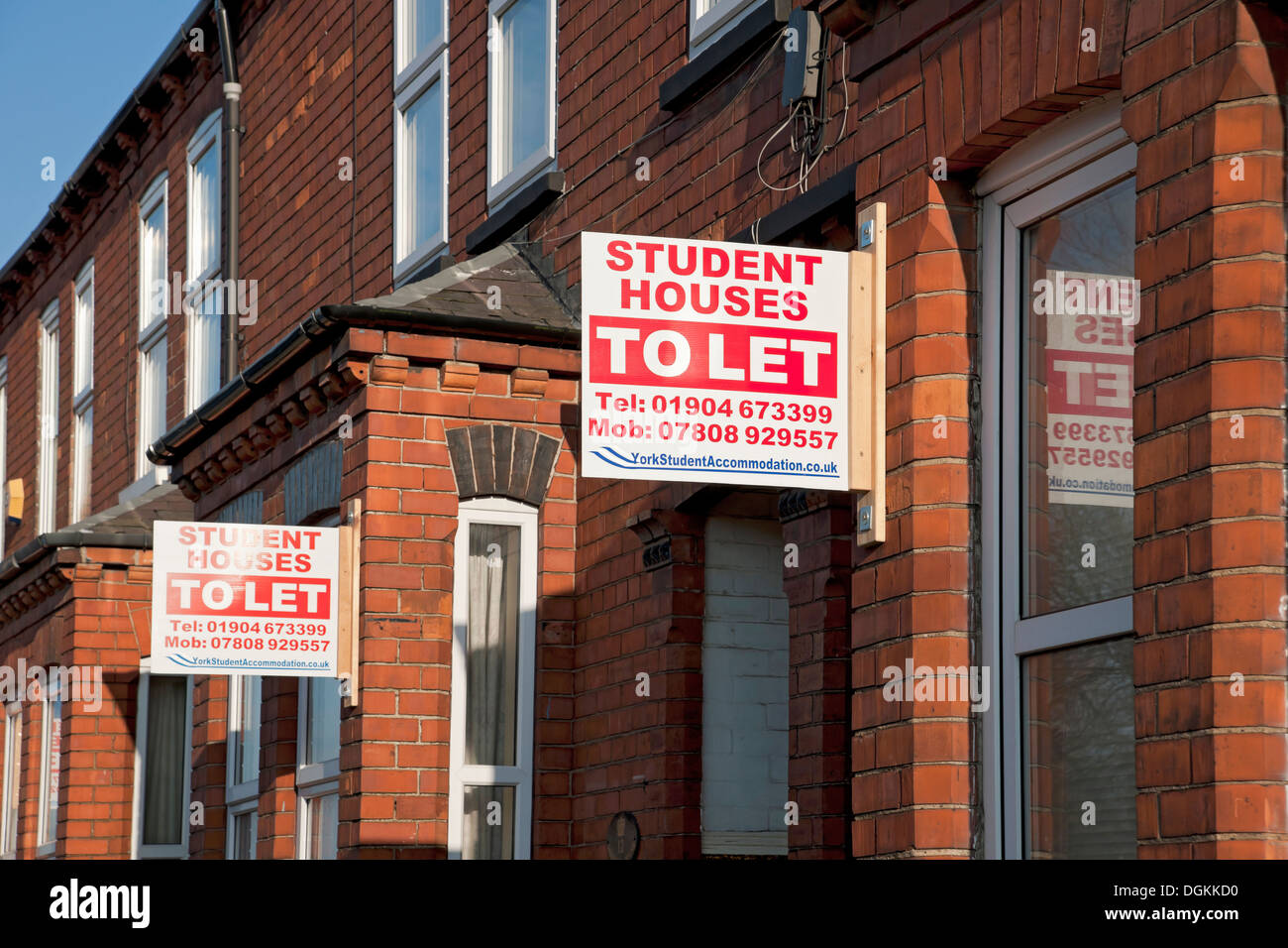 Student houses to let signs Stock Photo - Alamy