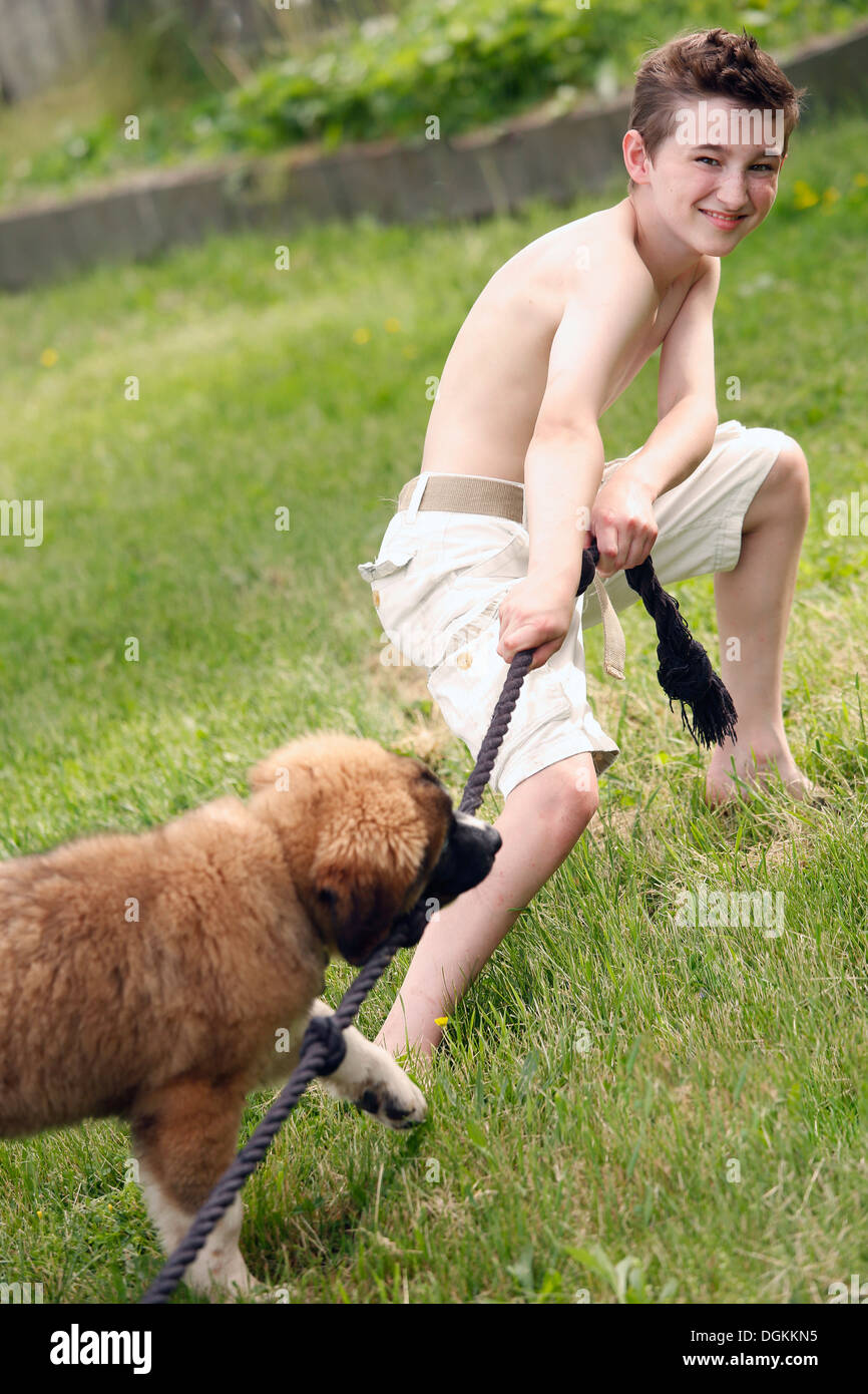 USA, New Jersey, Old Wick, Boy (12-13) and his dog playing with rope ...