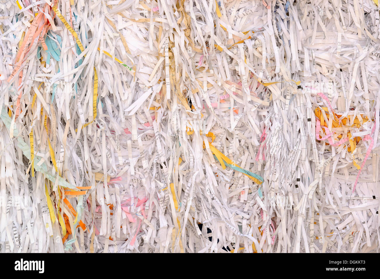 Bale of shredded paper at the recycling collection facility in ...