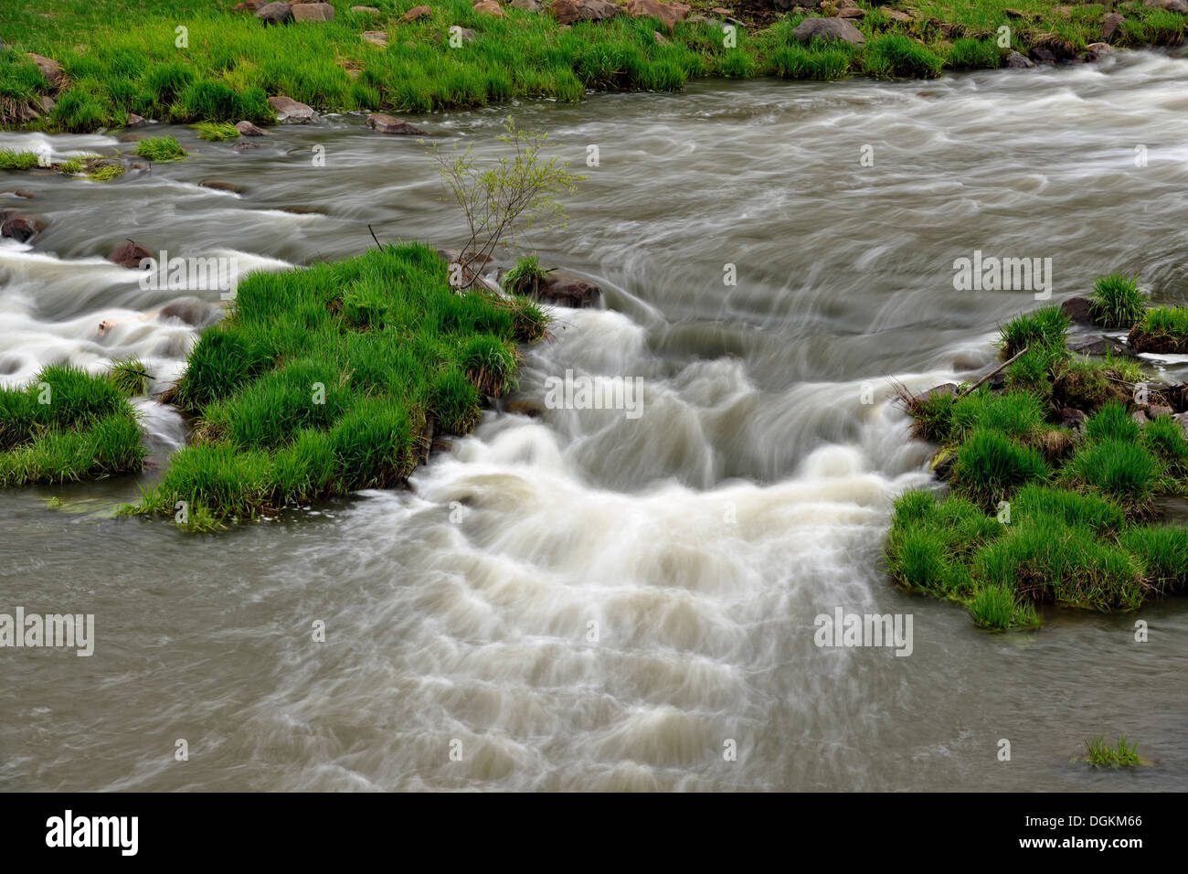 Overlooking the rapids on Junction Creek with swirling foam Greater ...