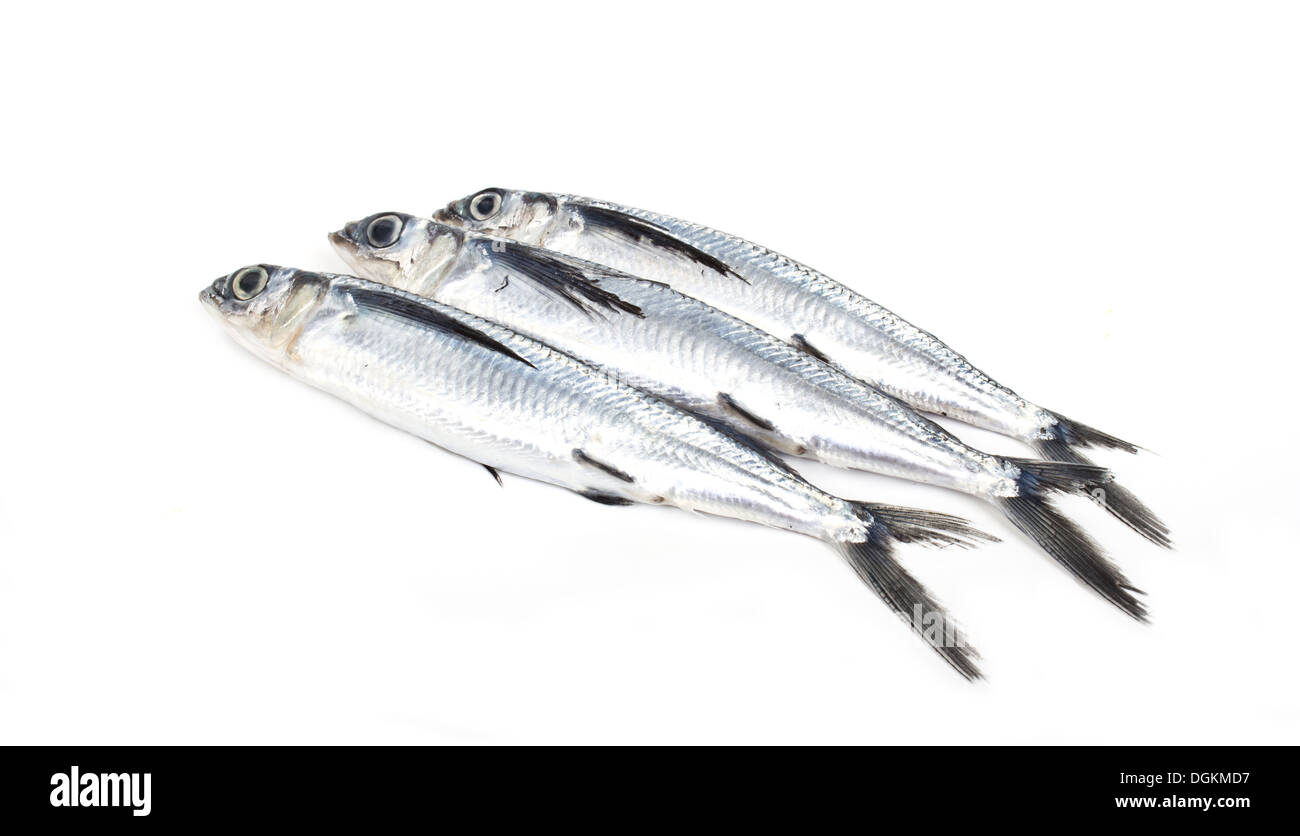 Flying with fish Cut Out Stock Images & Pictures - Alamy