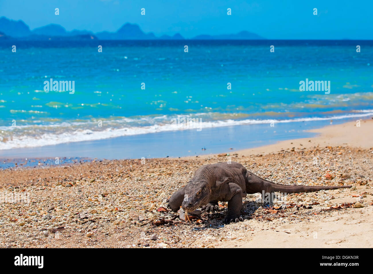 Dragon beach hi-res stock photography and images - Alamy
