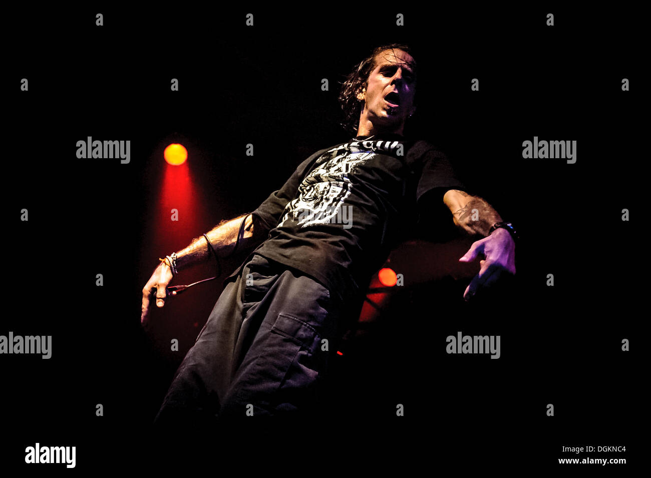 Lamb on lead hi-res stock photography and images - Alamy