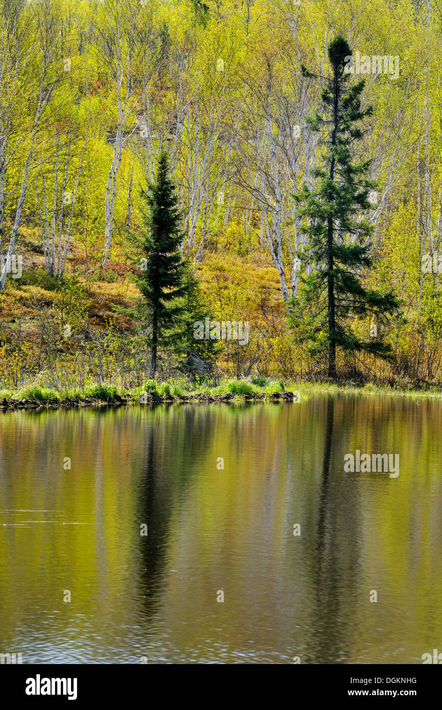 Beaverdams hi-res stock photography and images - Alamy