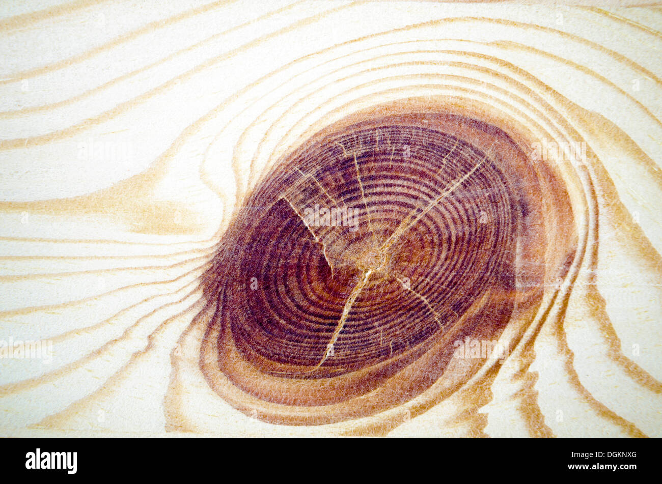 detailed knot structure on wooden surface Stock Photo - Alamy