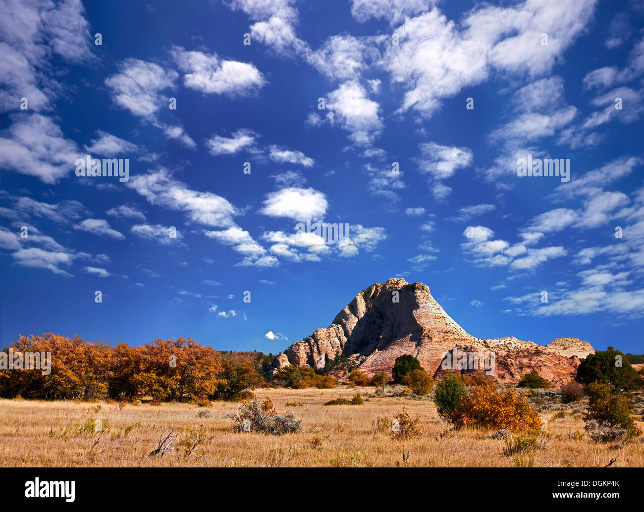 Southern elevation hi-res stock photography and images - Alamy