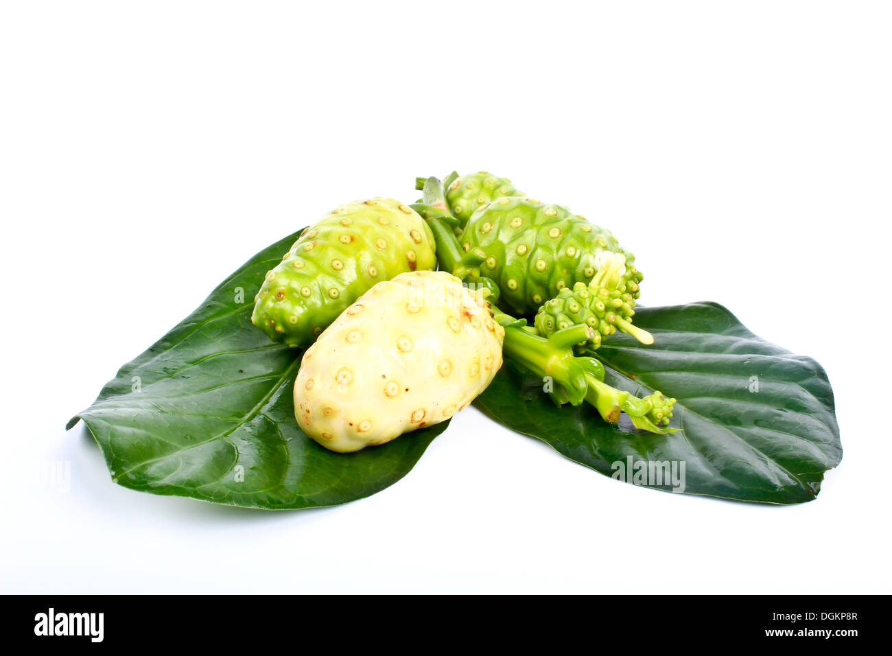 Exotic Fruit - Noni Stock Photo - Alamy