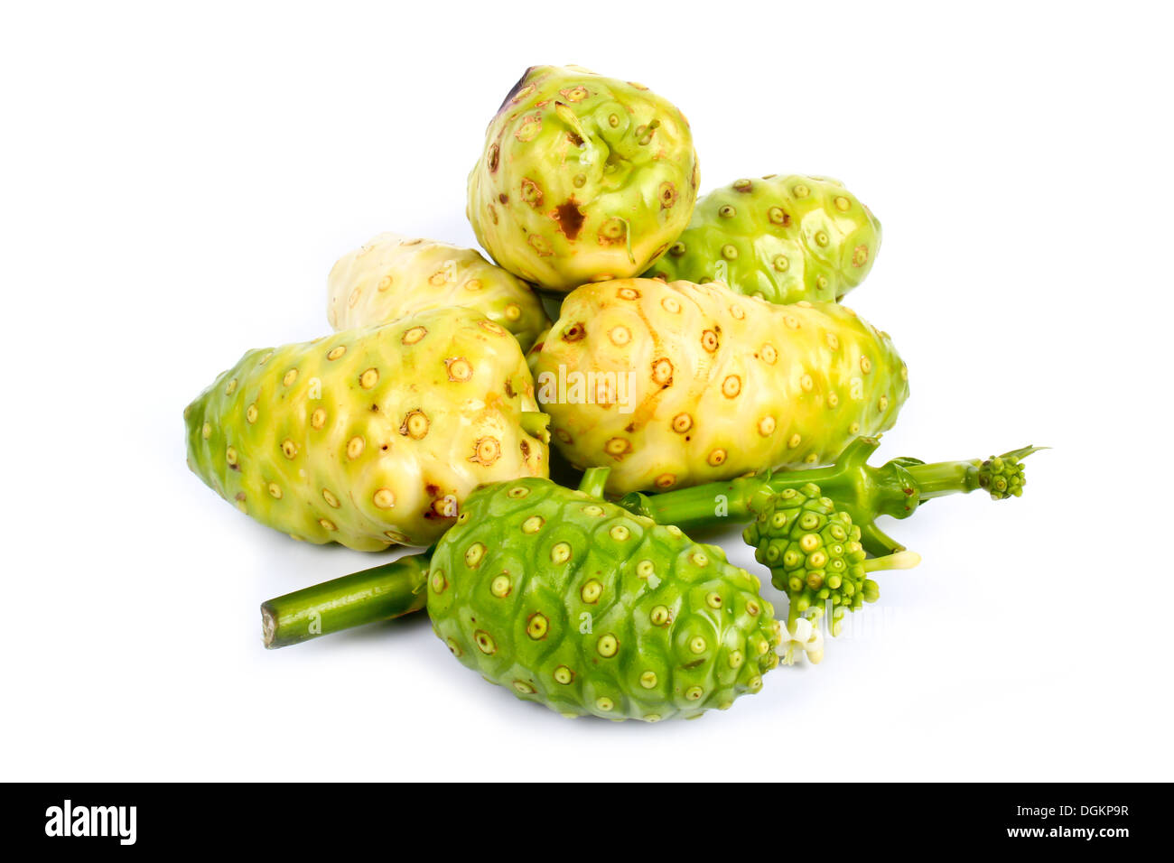 Exotic Fruit - Noni Stock Photo - Alamy