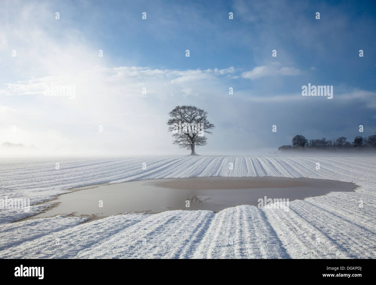 Covered outdoor pool hi-res stock photography and images - Alamy