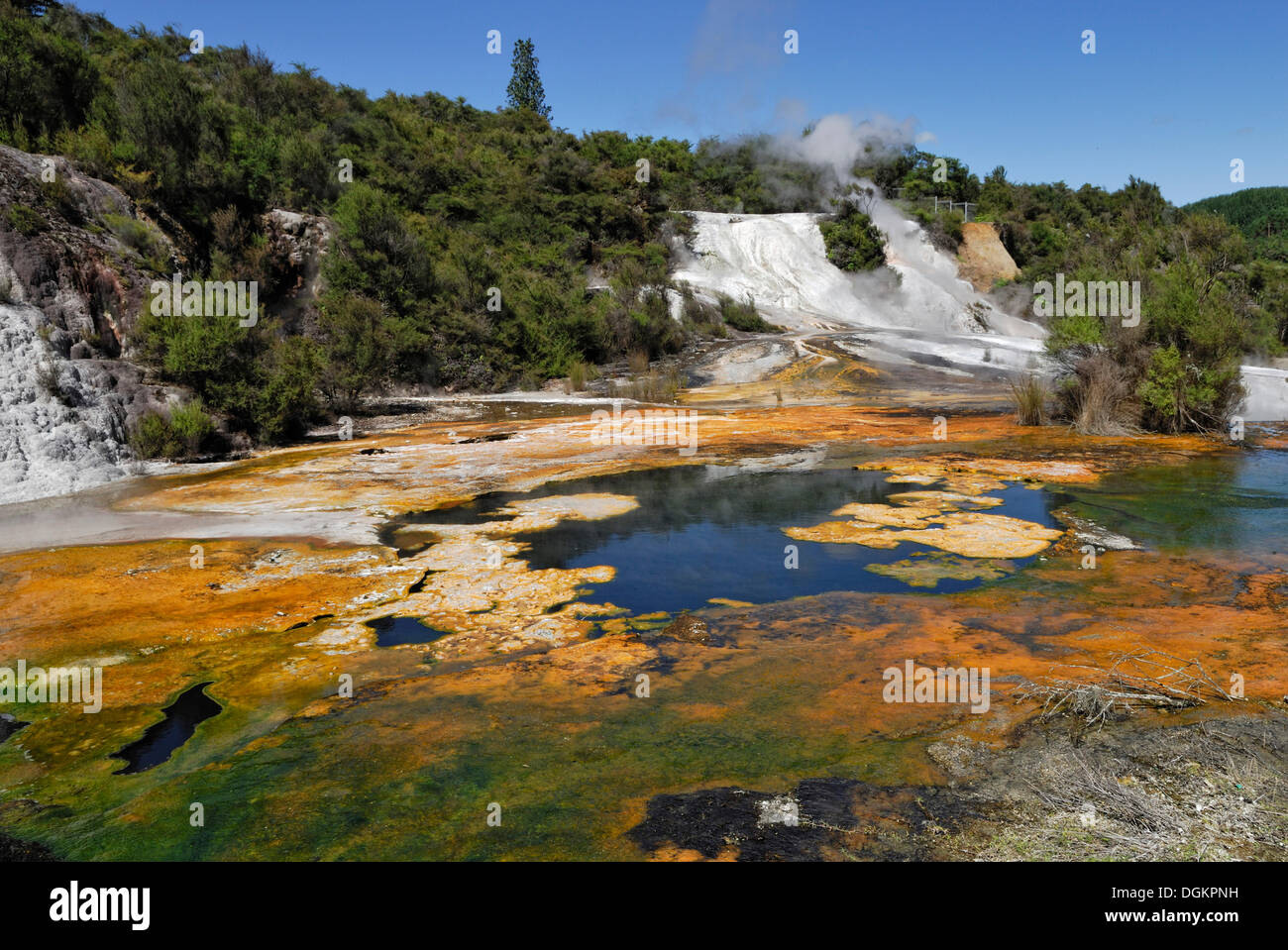 Rainbow and Cascade Terrace, Map of Africa, Orakei Korako Cave and ...