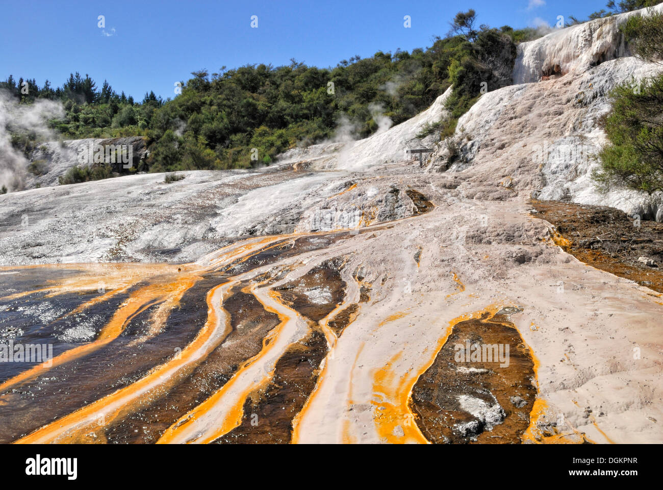 Rainbow and Cascade Terrace, Orakei Korako Cave and Thermal Park, Taupo ...
