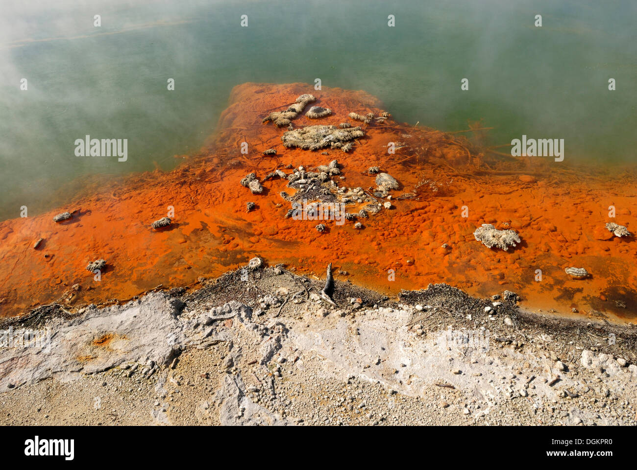 Champagne Pool, detailed view of the edge, colour from antimon sulfides ...