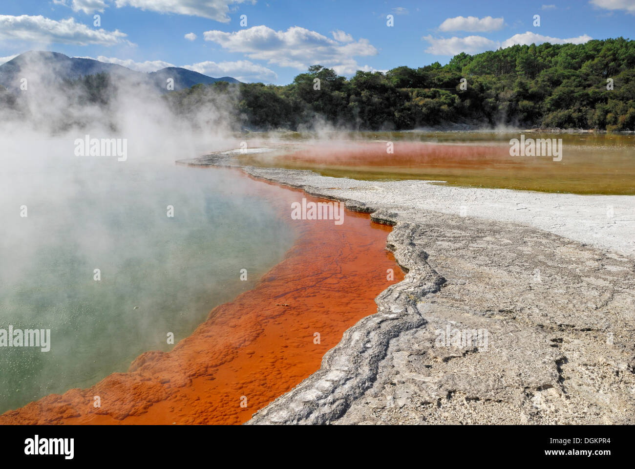Champagne Pool, edge, coloration through antimony sulfides, Wai-O-Tapu ...