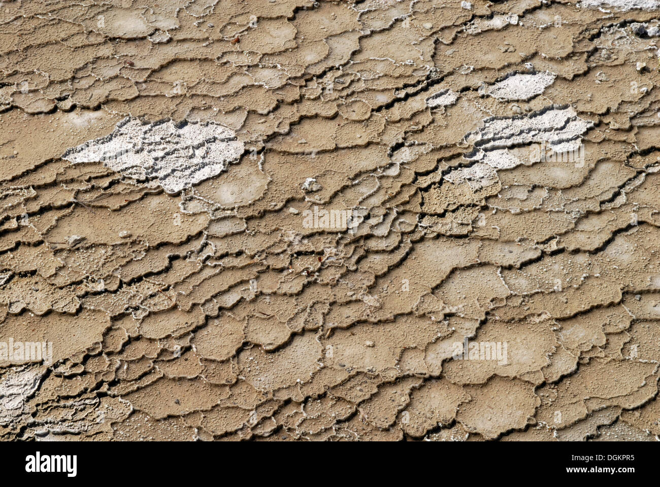 Sinter terrace, structure details, Wai-O-Tapu Thermal Wonderland ...