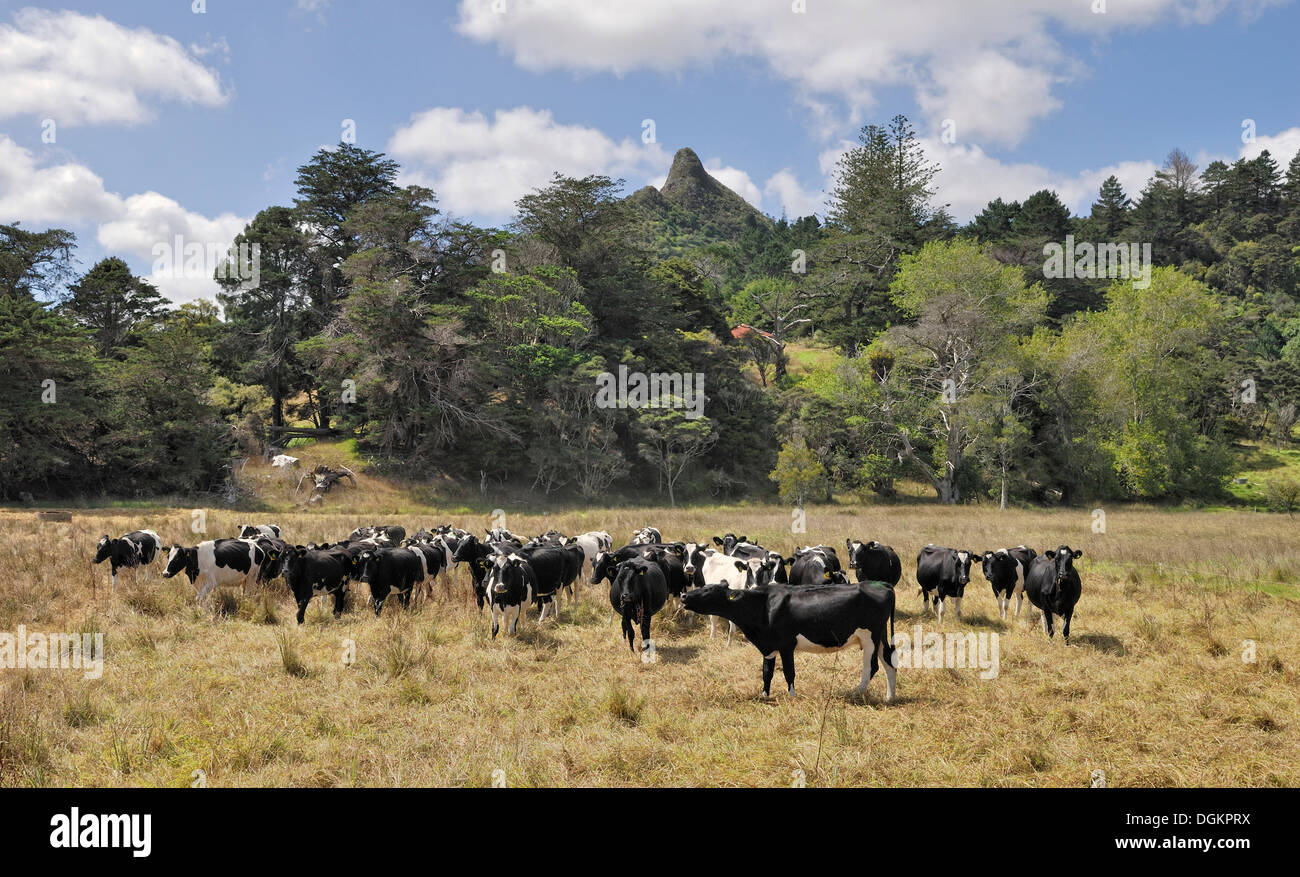 Tokatoka peak hi-res stock photography and images - Alamy