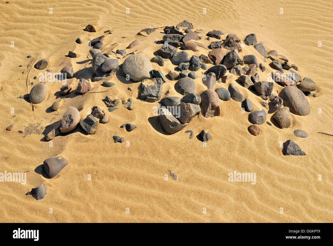 Volcanic rocks wind-blown clear of sand, sand dunes at Hokianga Harbour ...