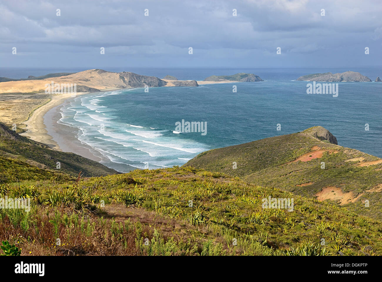 Van diemen hi-res stock photography and images - Alamy