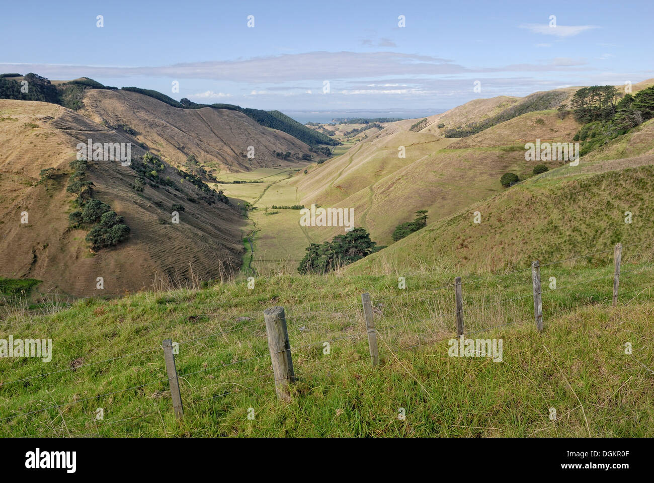 Lees hi-res stock photography and images - Alamy