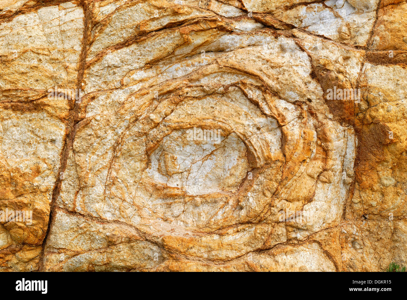Rock structure, reddish-yellow, Pineapple Rock, Otago Peninsula ...