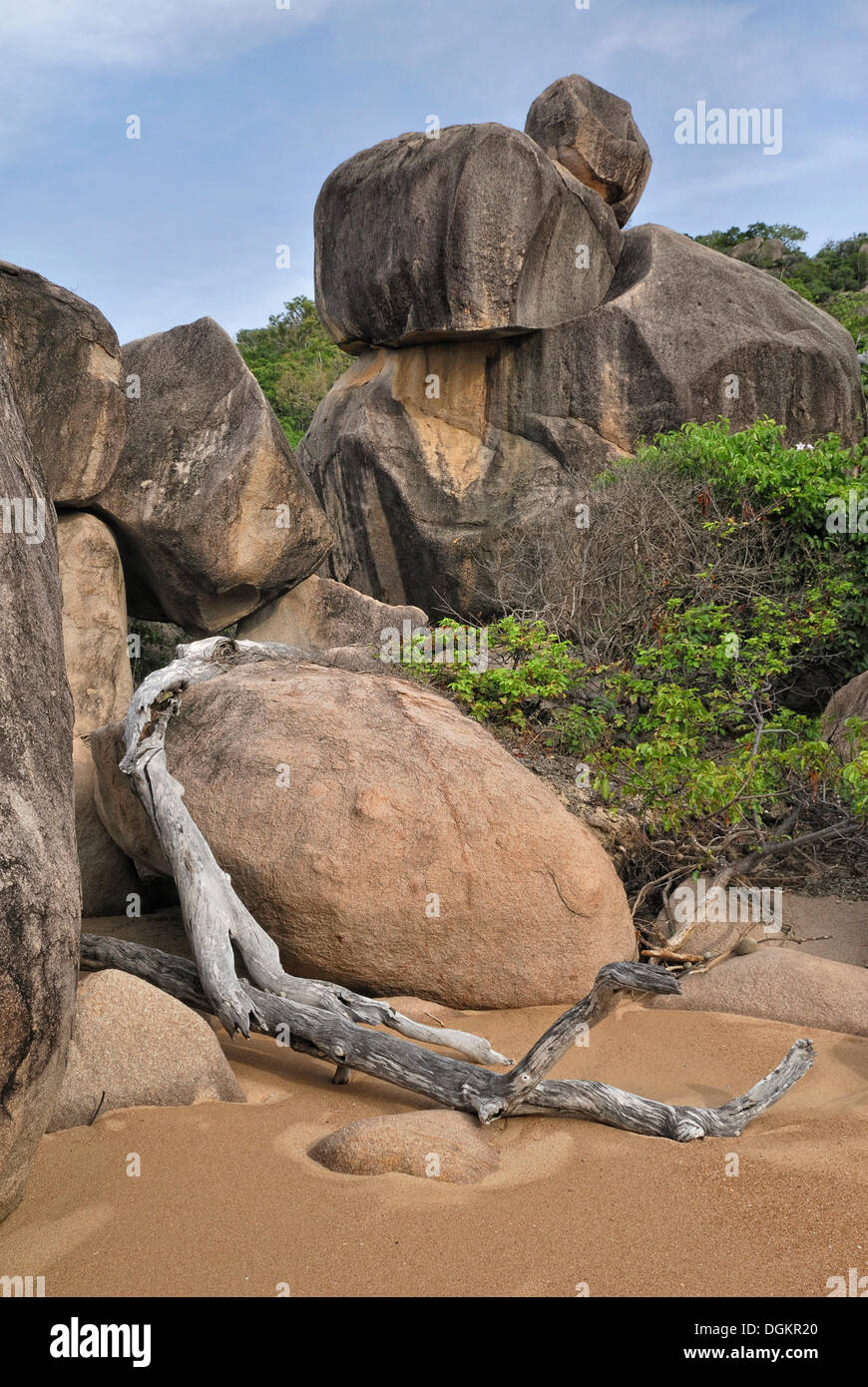 Rock formation with a dead tree, Balding Bay, North Coast, Magnetic ...