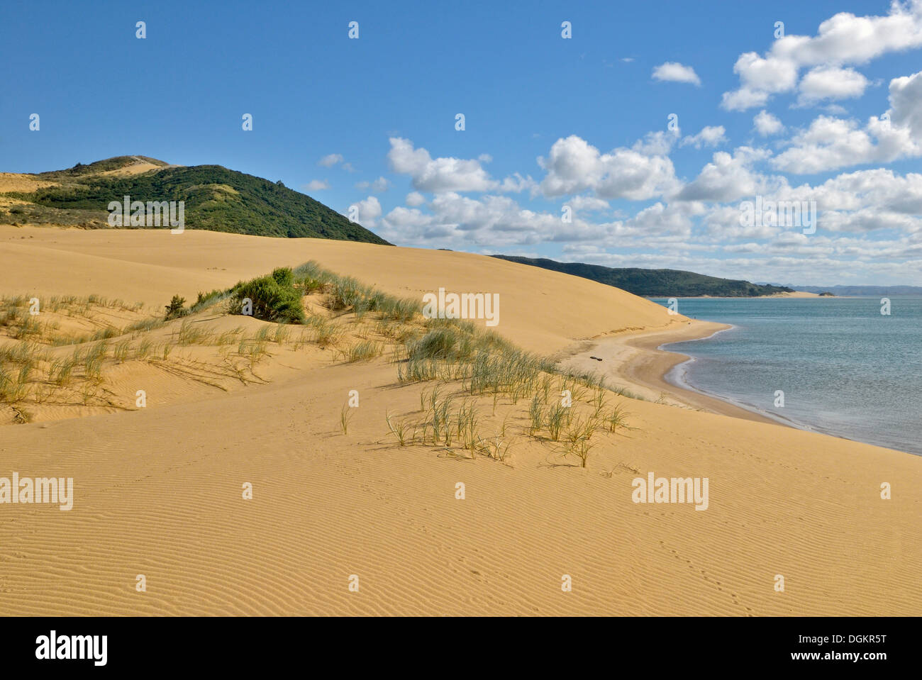 Sand dunes new zealand hi-res stock photography and images - Alamy