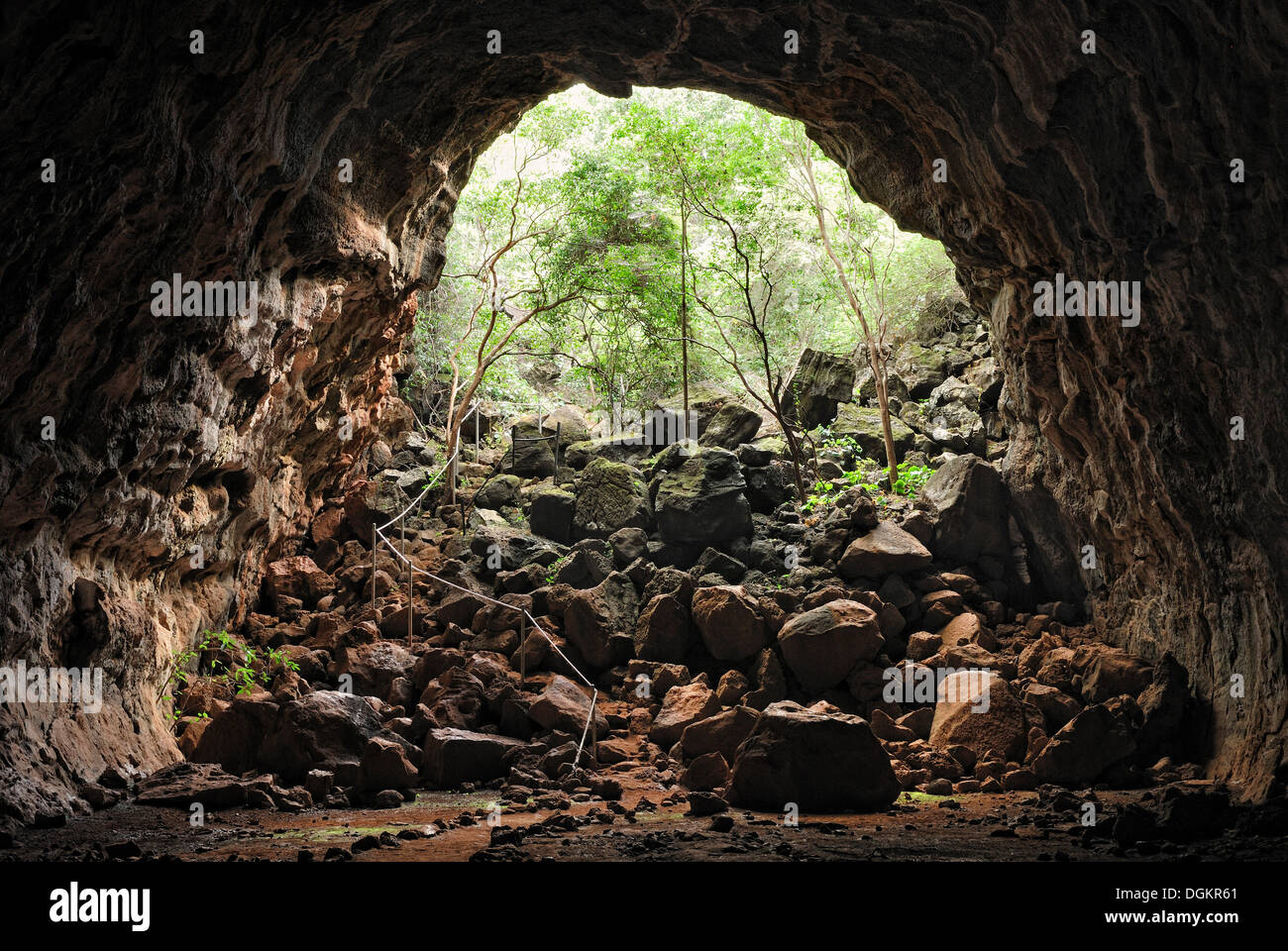 H-Section lava tube, entrance, Undara Volcanic National Park, Undara ...