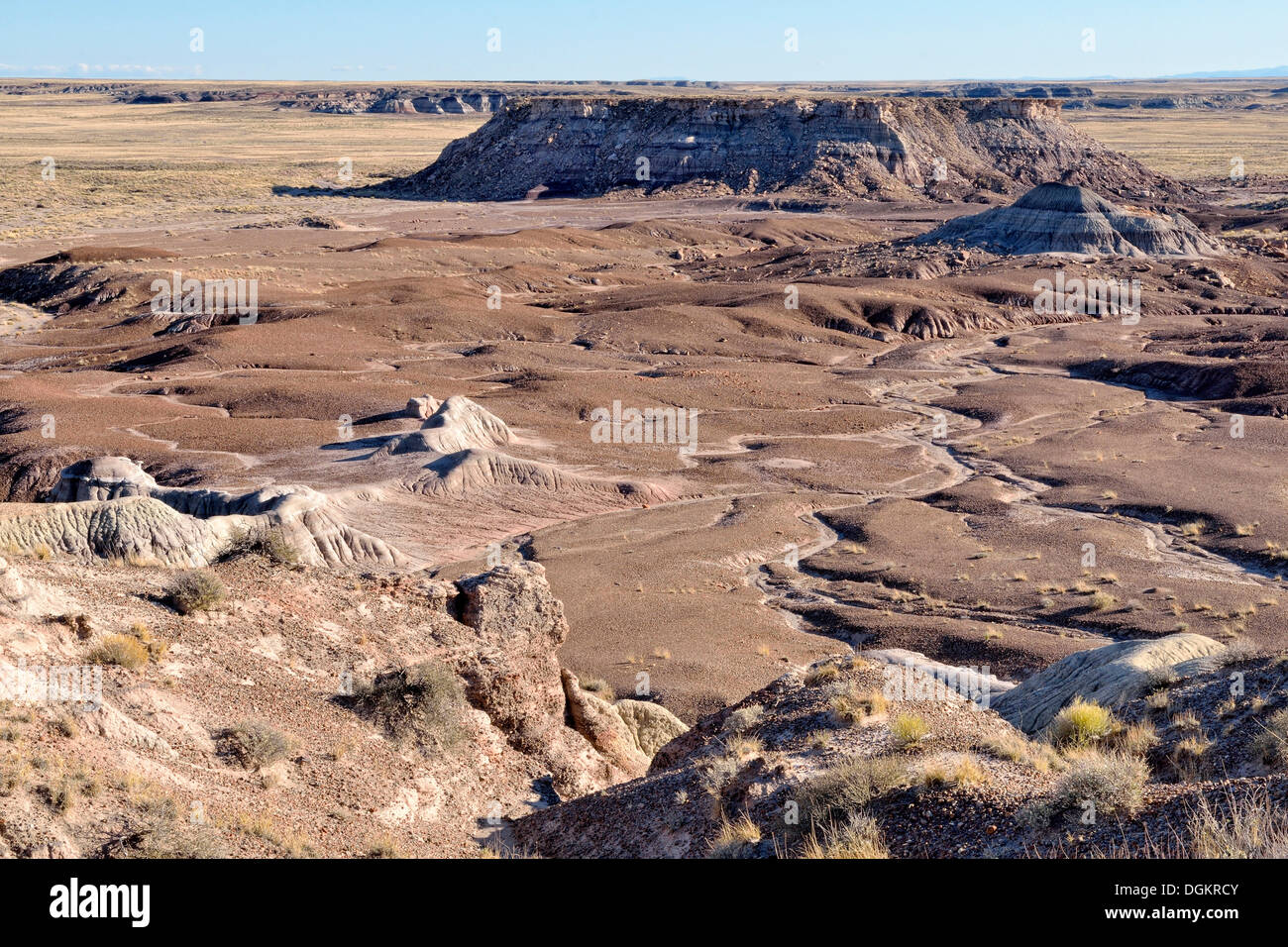Rock formations of the Blue Mesa, Petrified Forest National Park ...