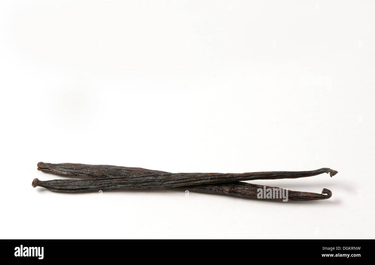 Whole vanilla pod hi-res stock photography and images - Alamy