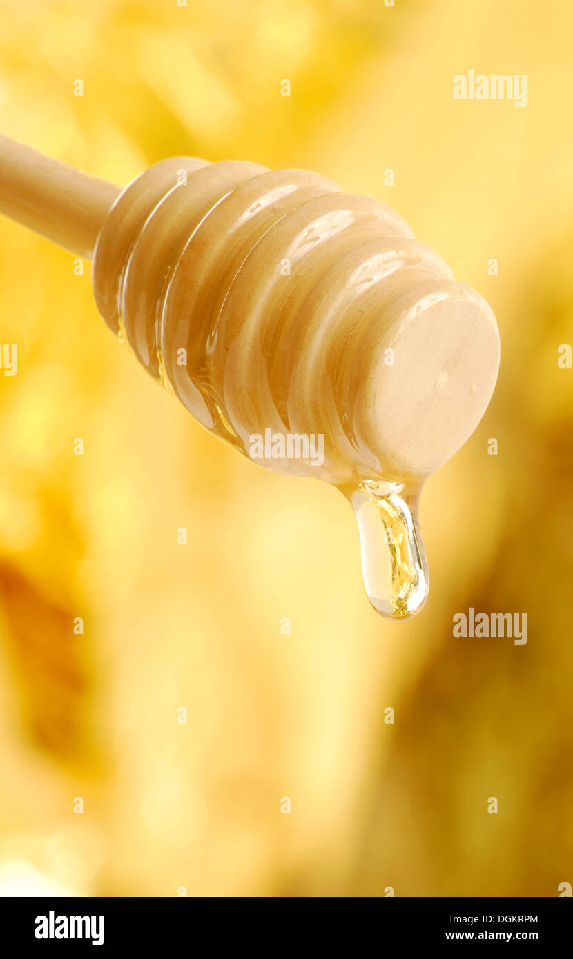 Liquid honey drop hi-res stock photography and images - Alamy