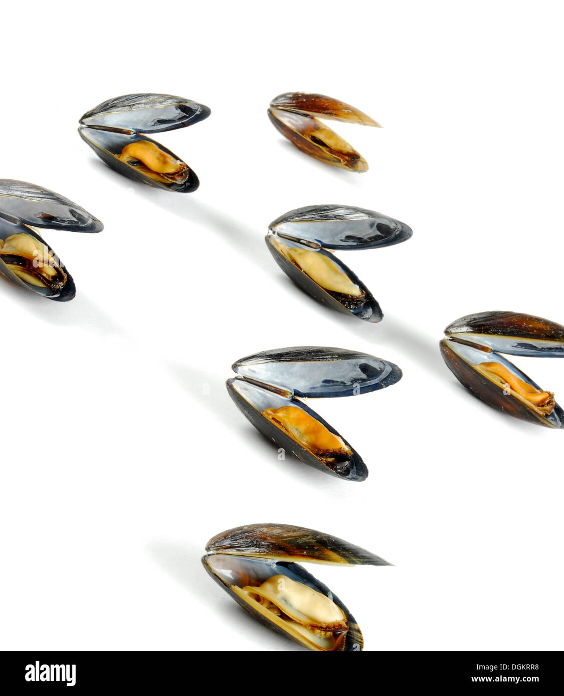 Open mussels hi-res stock photography and images - Alamy