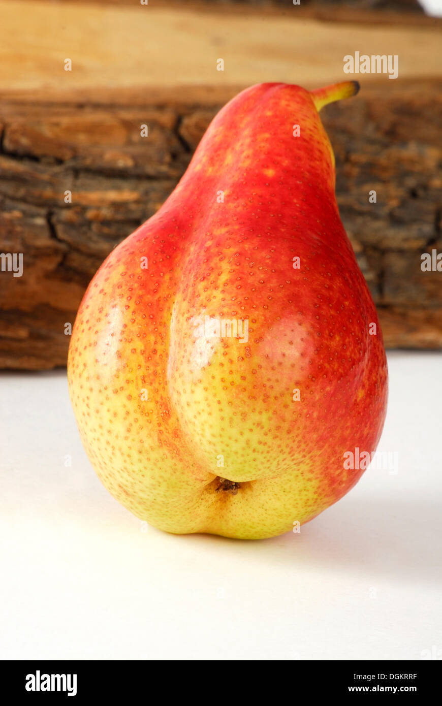 Forelle pear, Pear (Pyrus communis Stock Photo - Alamy