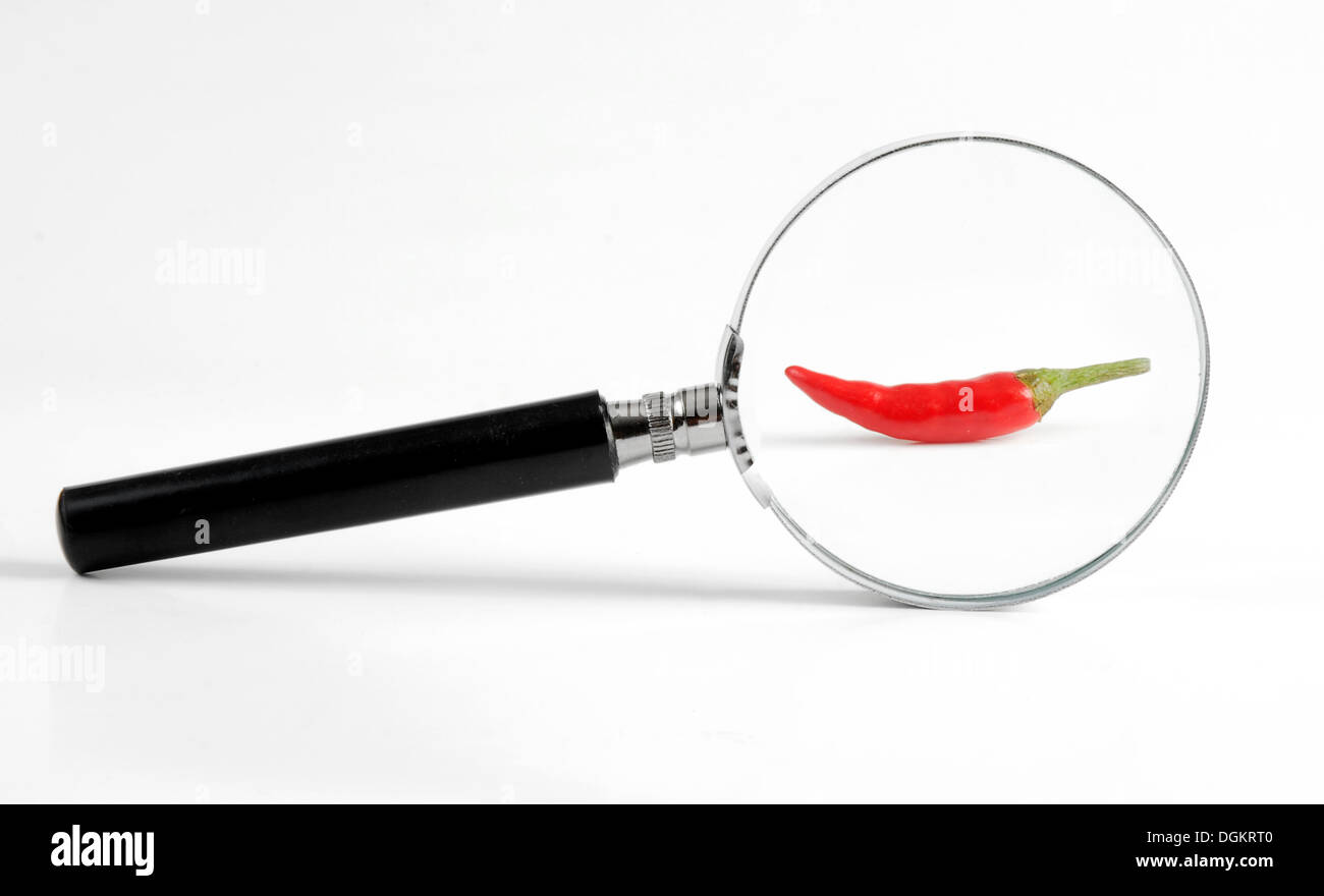 A chili pepper under a magnifying glass Stock Photo - Alamy