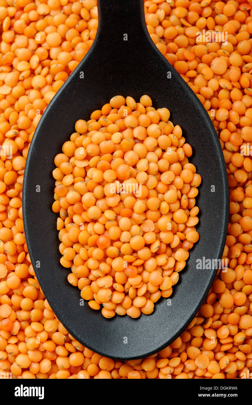 Lentil crop hi-res stock photography and images - Alamy