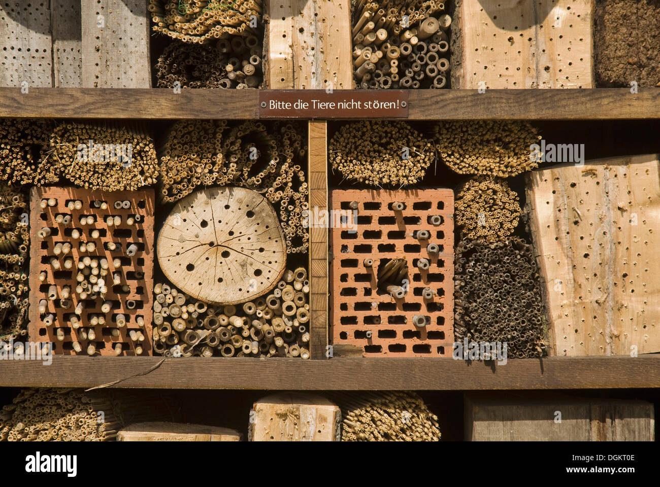 Hotel for insects, aid for nesting Stock Photo - Alamy