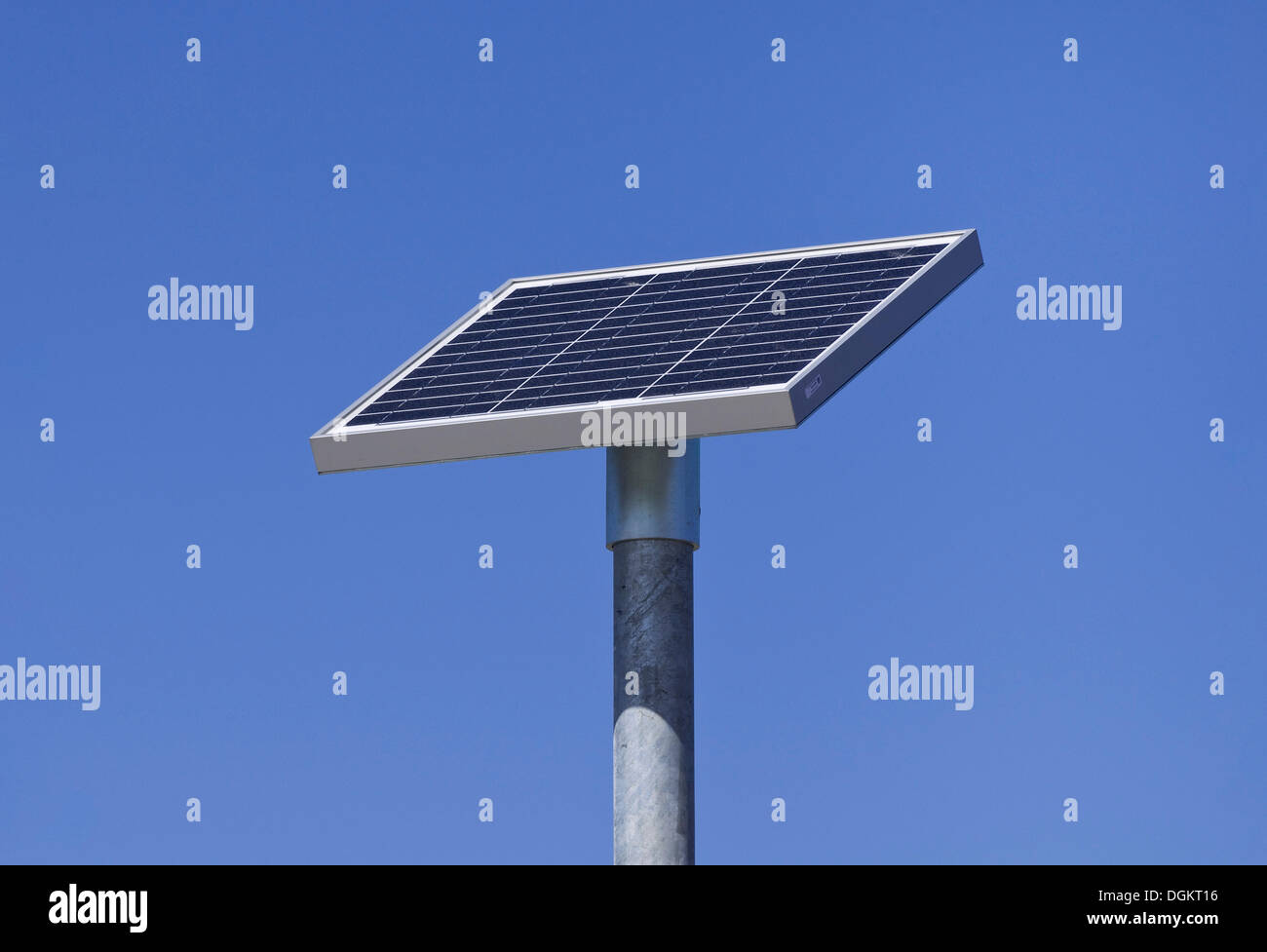 Mast cells hi-res stock photography and images - Alamy