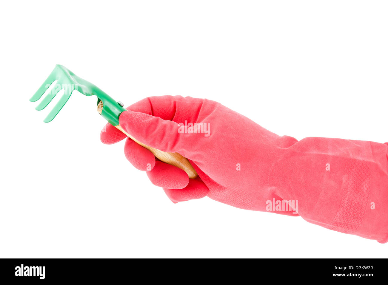 Hand with rubber glove and garden rake. Isolated on white Stock Photo ...