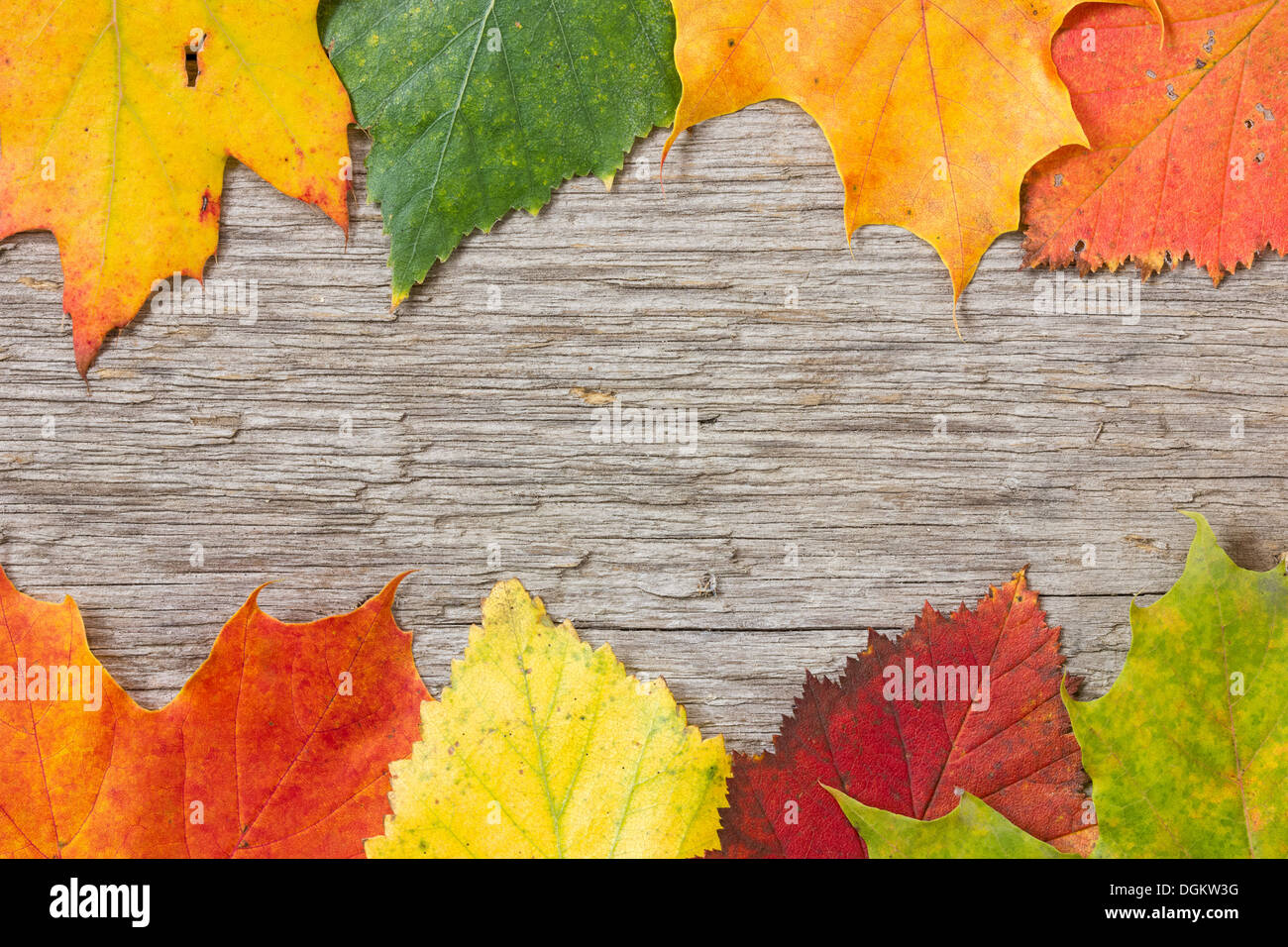 Background with wooden planks and colorful fall leaves Stock Photo - Alamy