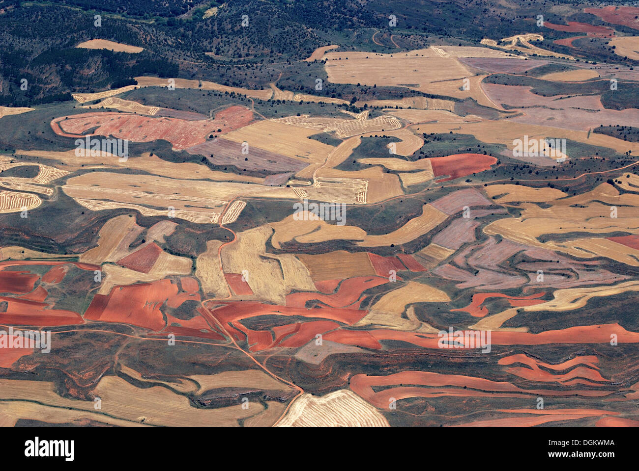 Castilian leon hi-res stock photography and images - Alamy