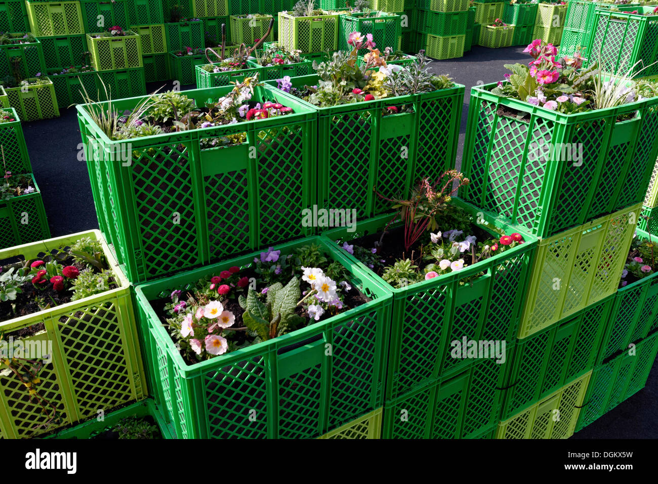 Plants in green boxes for the IGS Hamburg, International Garden Show ...