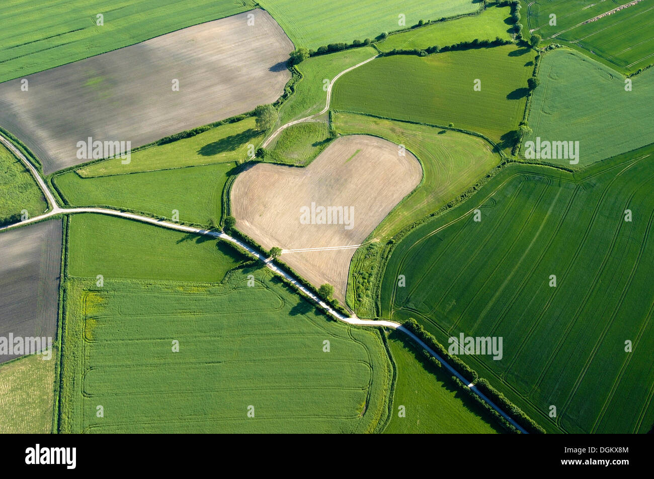 Aerial view of a heart-shaped field, agriculture with heart, Trittau ...