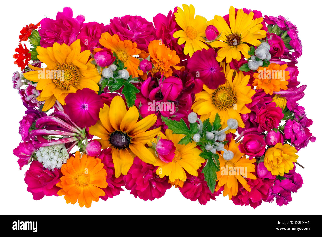 Simple floral banner imagination from bright summers flowers and plants ...