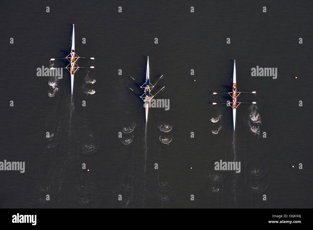 Aerial view, rowing competition, rowing boats, Allermoehe regatta ...