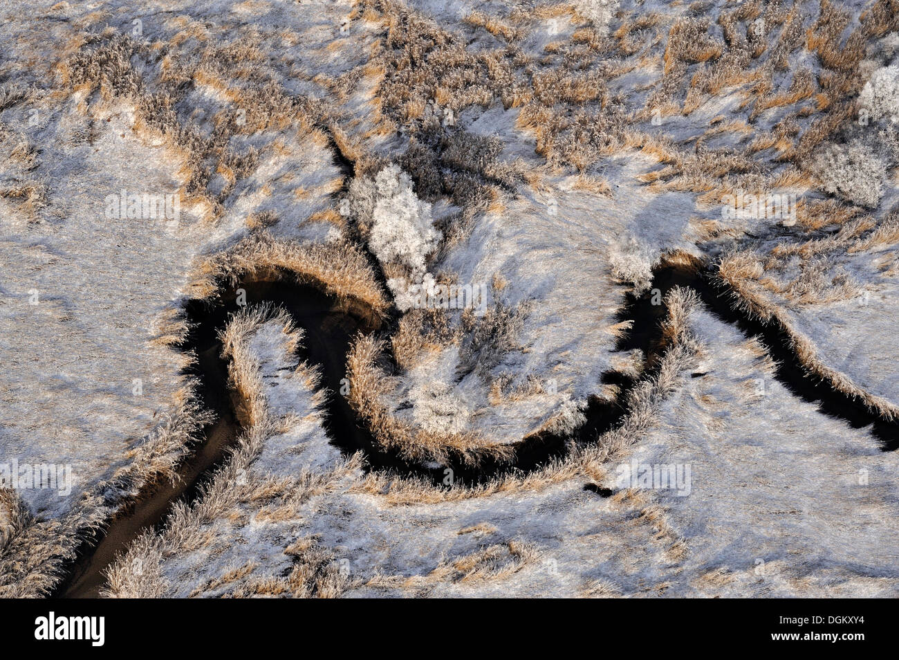 Aerial view, tidal creek in freshwater mud flats in winter, Heuckenlock ...
